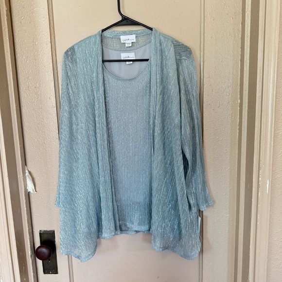 Jaclyn Smith | Tops | Jaclyn Smith Womens Xl Shimmer Metallic Blue ...